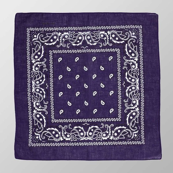 bandana ROCK DADDY Paisley Violet | Rock Gadgets \ Bandanas and Scarves ...